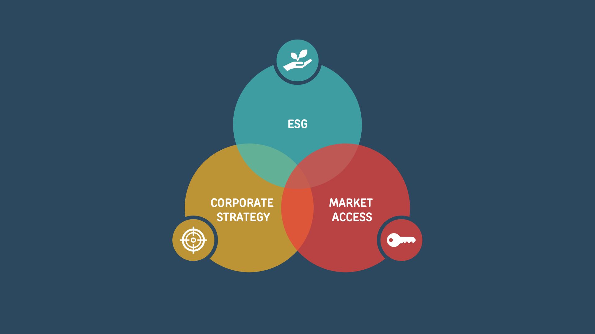 Visual.pptx - Inbeeo Strategic Market Access & Pricing